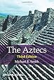 Ancient Maya: The Rise and Fall of a Rainforest Civilization (Case ...