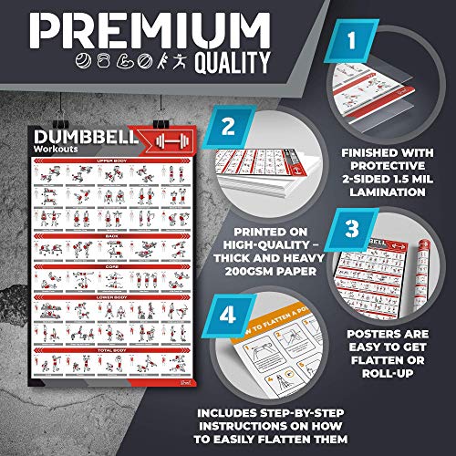 16-Pack Laminated Large Workout Poster Set - Perfect Workout Posters ...