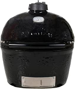 Amazon.com : Primo 774 Ceramic Charcoal Smoker Grill, Oval Junior ...