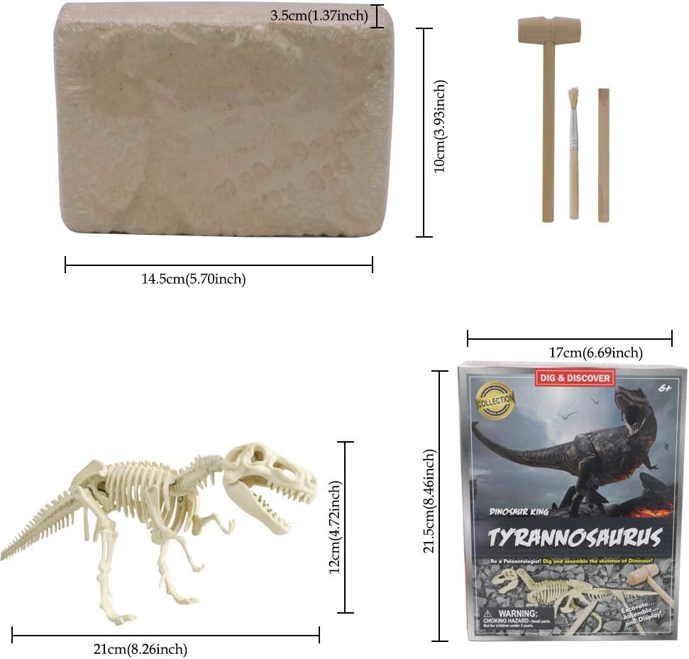 JoaSinc Dinosaur Eggs Dig Kit – 12 Different Dinos with Excavation Tool ...