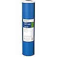 Amazon.com: Pentair Pentek GAC-20BB Big Blue Carbon Water Filter, 20-Inch, Whole House Heavy ...