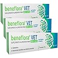 Kit 3 Suplementos Beneflora Vet Cães e Gatos Avert - 14g | Amazon.com.br