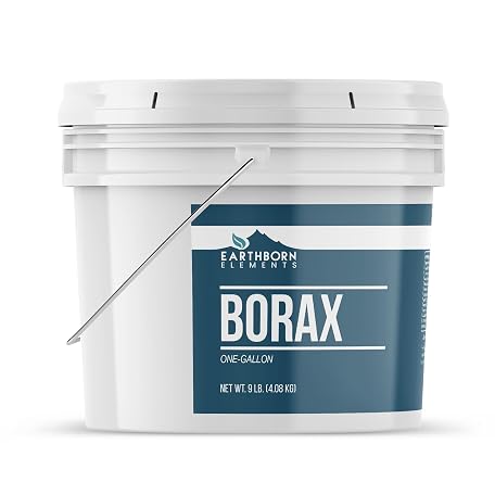 Mua Earthborn Elements Borax Powder (1 Gallon), Multipurpose Cleaner ...