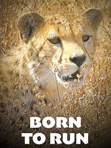 July 22, 1997, What happened that day? | TakeMeBack.to