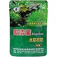 Amazon.com : Ankexin 40 Pieces Root Tabs Freshwater Aquarium Aquatic ...