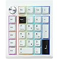 Amazon.com: GMK26 Mechanical Numpad,QMK/VIA Macro Keypad BT5.0/2.4ghz ...
