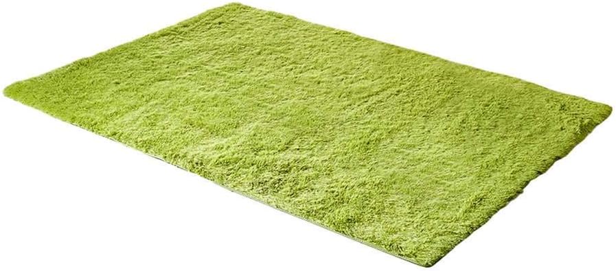 HUOLEO Solid Color Modern Fluffy Rug,Anti Slip Home Decoration Shaggy ...