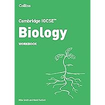 Outletwebsite Cambridge Igcse R Computer Science What Is The Best
