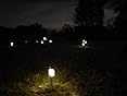 Solpex Solar Lights Outdoor Pathway,12 Pack Solar Walkway Lights ...