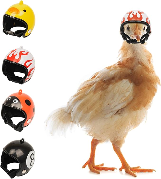 Amazon.com : Genriq 4PCS Chicken Helmet - Chicken Bird Toy Head ...