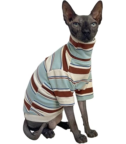 Tatty Sphynx Cat Clothes