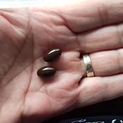 MyTan Bronze Tanning Pills | 100 Softgels | Beta Carotene Tanning ...