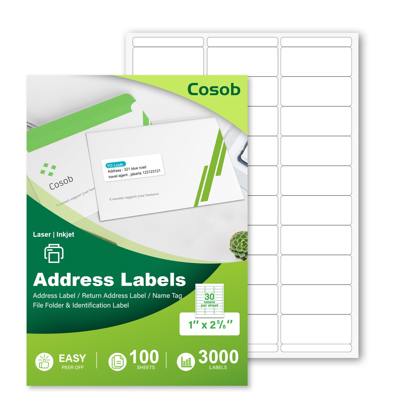 COSOB 1" x 2-5/8" Address Labels for Laser/Inkjet Printer, 3000 mailing ...