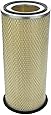 Amazon.com: 81866927 E9NN9601AA Air Filter Fits Ford 555C 555D 575D ...