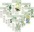 Amazon.com : Botanical Interests "Power Greens" Organic and Heirloom ...