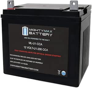Amazon.com: ML-U1 200CCA Battery for Toro Time Cutter SS4225 Zero-Turn ...