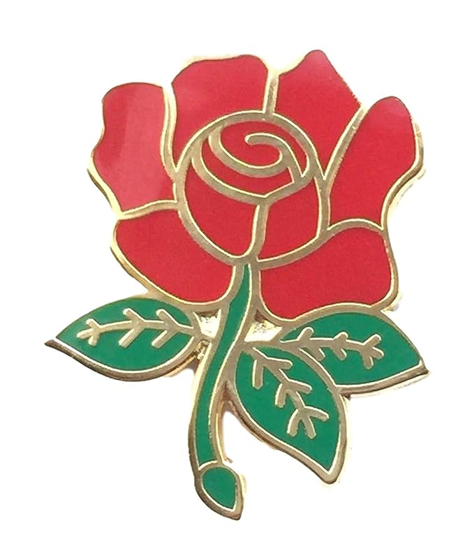 Lancashire County Red Rose English Rose enamel lapel pin badge: Amazon ...