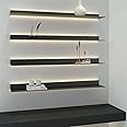 Amazon.com: EMYJAY Light-Emitting Shelves，Wall Mounted Light-Emitting Shelves Floating Display ...