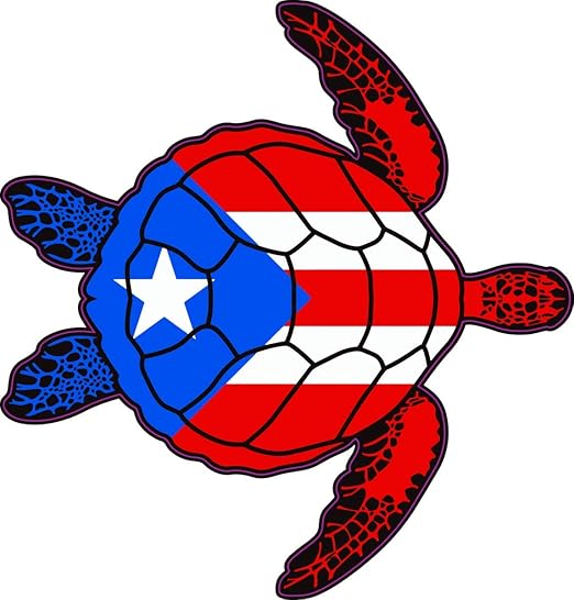 Amazon.com: Puerto Rican Sea Turtle Vinyl Decal - Turtle Bumper Sticker ...