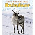 Reindeer (A Day in the Life: Polar Animals): Marsico, Katie ...