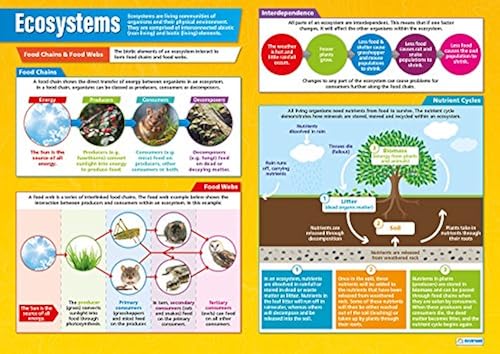 Ecosystems | Geography Posters | Gloss Paper measuring 33” x 23.5 ...