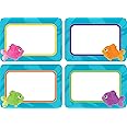 Amazon.com: Teacher Created Resources Colorful Fish Name Tags/Labels ...