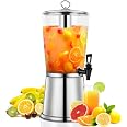 Amazon.com | 2 Gallons Beverage Dispenser With Stand, Drink Dispensers ...
