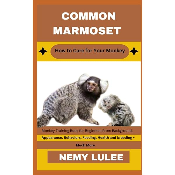 Marmoset Monkey Pet Care