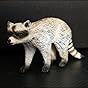 Amazon.com: SCHLEICH Wild Life Raccoon Educational Figurine for Kids ...