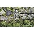 Amazon.com: Biggies-Window Well Scene-Moss 100" X 60" : Tools & Home ...