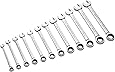 MAXPOWER 10PCS Ratcheting Combination Wrench Set, Professional Open and ...