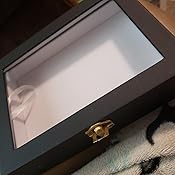 Insect Display Case - Bug Display Box with Glass Window and Secure ...