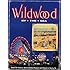 Out of Season: The Vanishing Architecture of the Wildwoods: Mark Havens ...