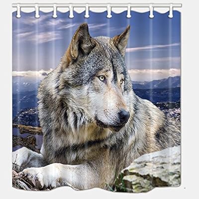 NYMB Archives - All Cat Things