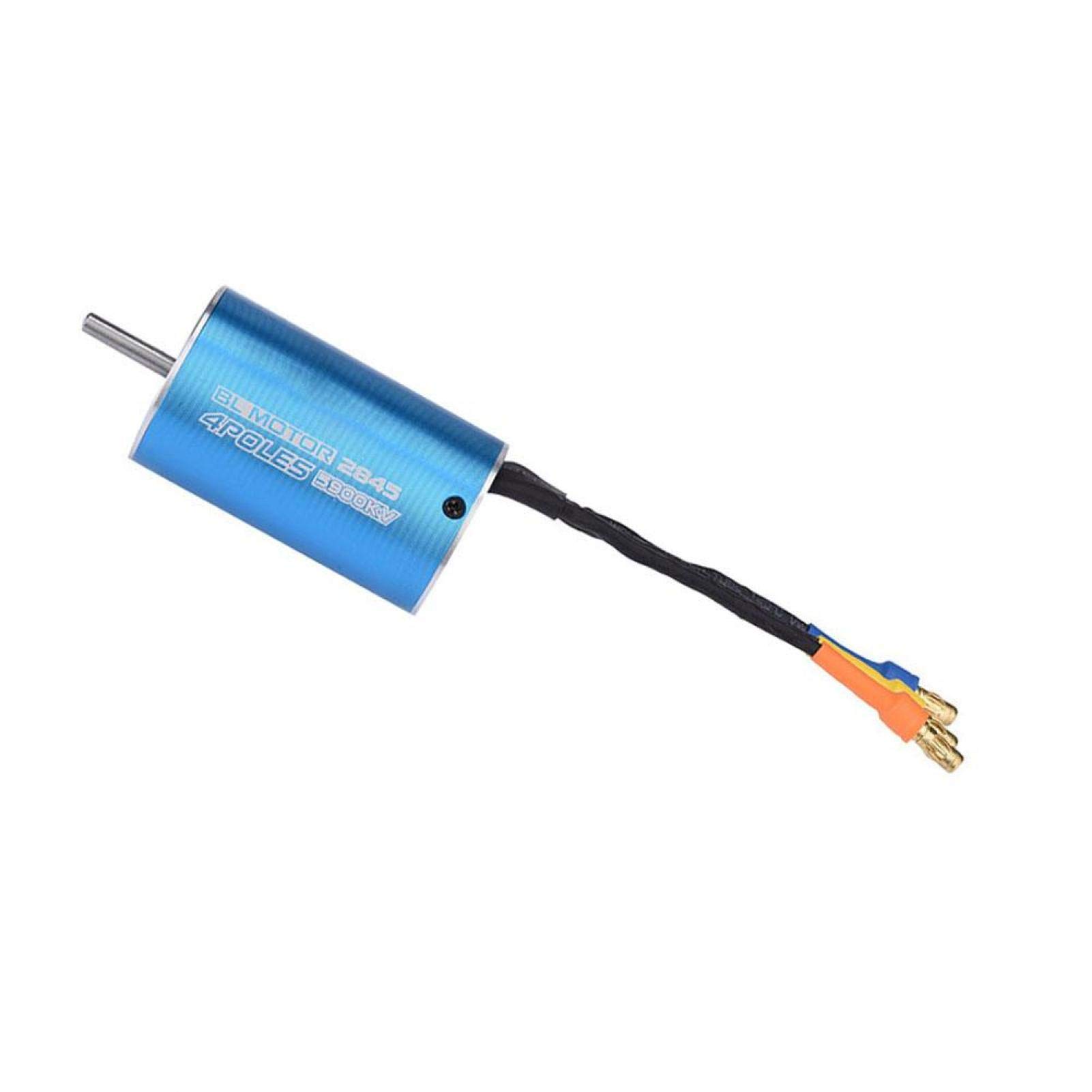 Mua 5900KV Motor 2845 Motor, 4 Pole 12 Slots Waterproof Brushless Motor ...