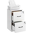 Amazon.com: VASAGLE 2 Drawers File Cabinet with Lock, Printer Stand ...