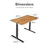 Vari Classic Electric Standing Desk - VariDesk Height Adjustable Sit ...