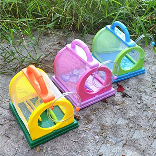 Bug Cage for sale | Only 2 left at -75%