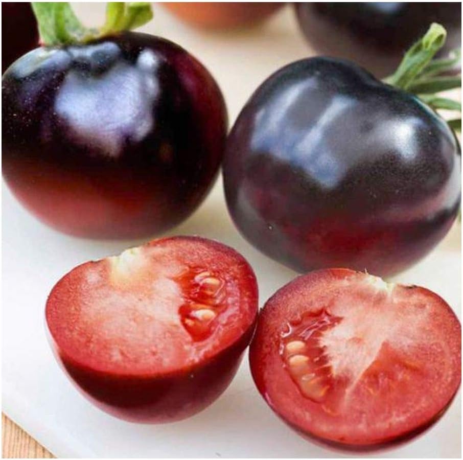 Tomate Indigo Rose - dunkelviolett-schwarze Tomate - 20 Samen: Amazon ...