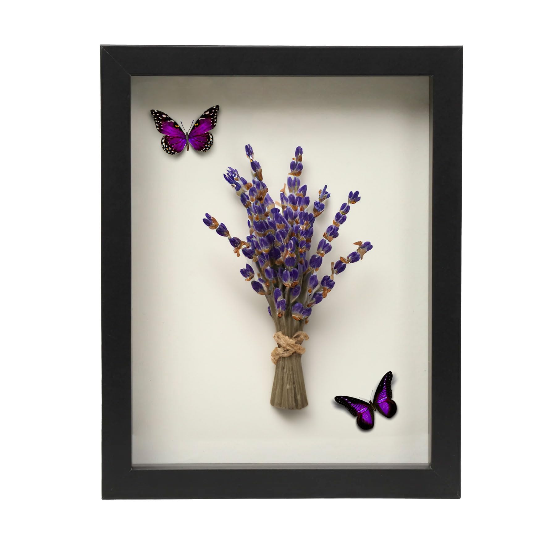 Mua FrameWorks 8” x 10” Black Wooden Shadow Box Frame – Display Case ...