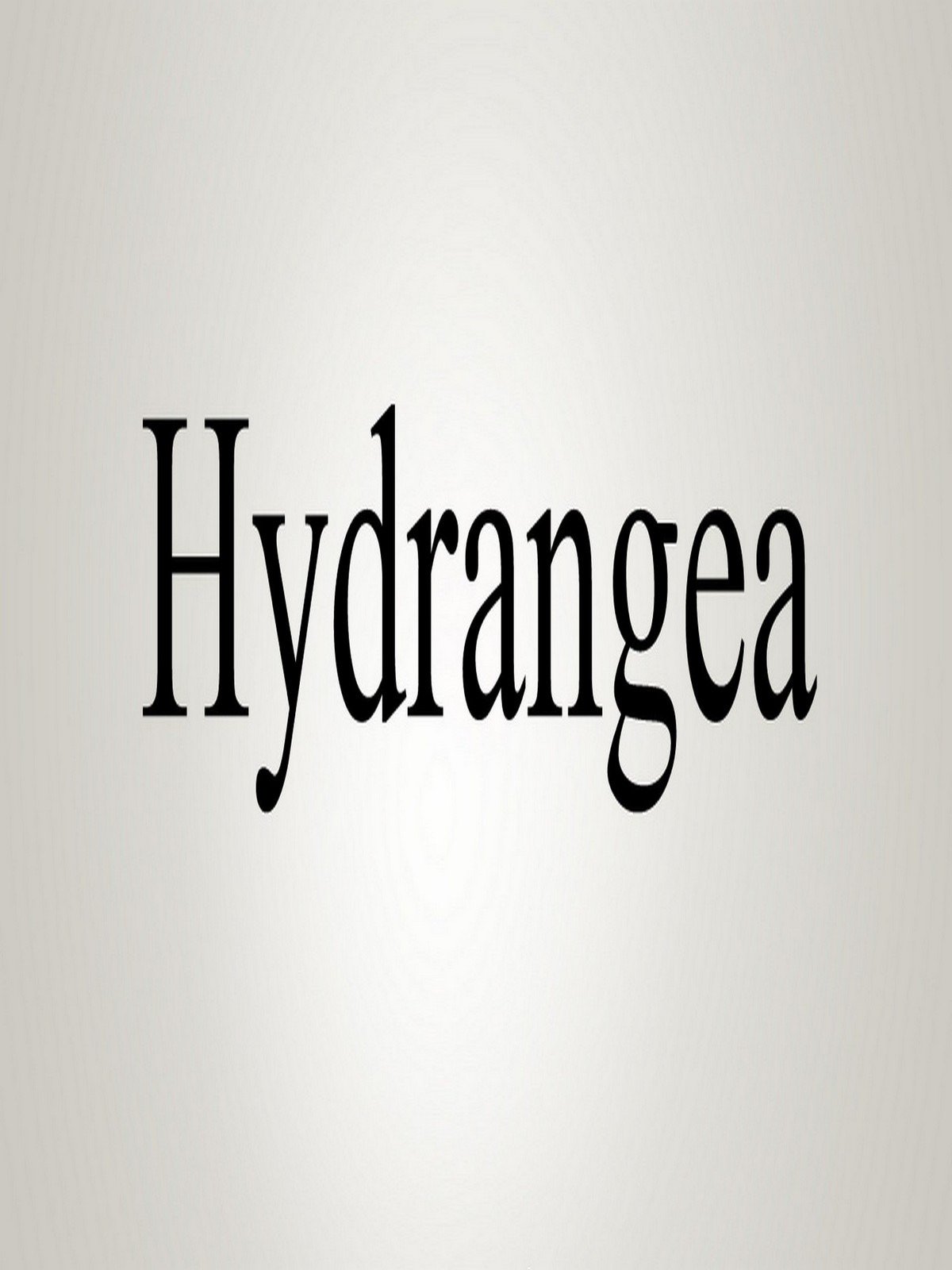 Watch How To Pronounce Hydrangea | Prime Video