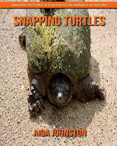 Snapping Turtles: Amazing Pictures & Fun Facts on Animals in Nature | World's Biggest Leveled ...