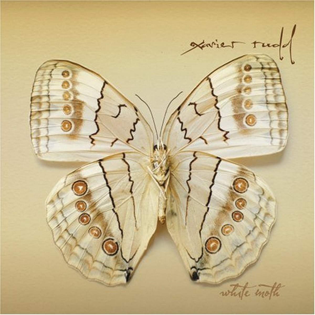 White Moth : Xavier Rudd: Amazon.fr: CD et Vinyles}