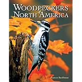 Peterson Reference Guide To Woodpeckers Of North America (Peterson ...