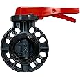 Amazon.com: ERA Sch 80 PVC 3 pulgadas válvula de mariposa, manija de palanca : Industrial y ...