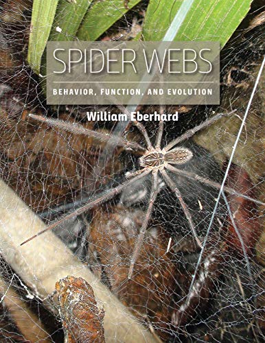 Amazon.com: Spider Webs: Behavior, Function, and Evolution ...