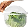 Amazon.com: Lettuce Keeper | Vegetable and Fruit Crisper | Lettuce ...