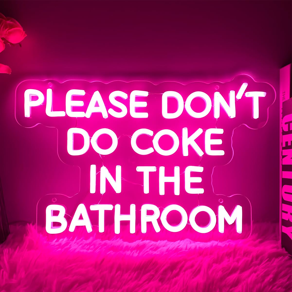 Neon Sign Please Dont Do Coke in The Bathroom-LED Adjustable Brightness ...