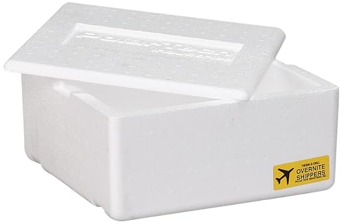Ice Age ON17F/2 Thermo Chill Overnite Containers (Pack of 2),White in ...