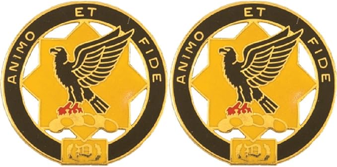 Amazon.com: 1st Cavalry Regiment Distinctive Unit Insignia - Pair ...